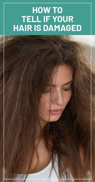 How To Tell If Your Hair Is Damaged