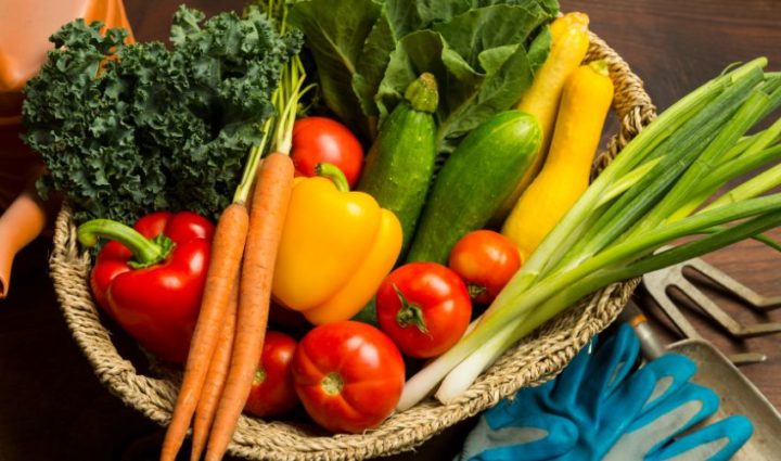 Why Do I Have Diarrhea Every Morning?