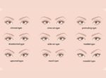 Eye Shape Chart: How To Know Your Eye Shape