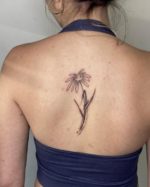 35 Stunning Daisy Tattoo Ideas For Timeless Elegance