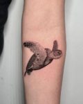 40+ Best Turtle Tattoo Ideas You Should Check