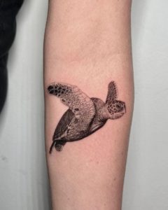 40+ Best Turtle Tattoo Ideas You Should Check
