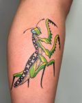 40 Best Praying Mantis Tattoo Designs You Should Try In 2025