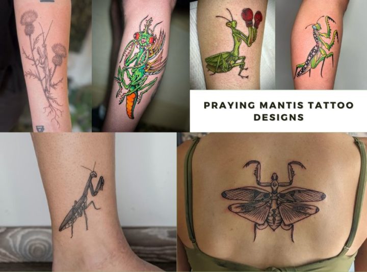 40 Best Praying Mantis Tattoo Designs You Should Try In 2025