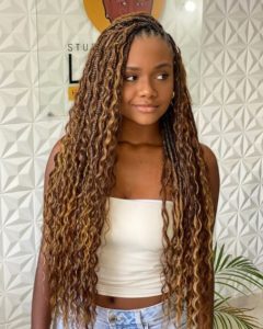 35+ Stunning Gypsy Braids Hairstyles That Will Make You Stand Out In 2025