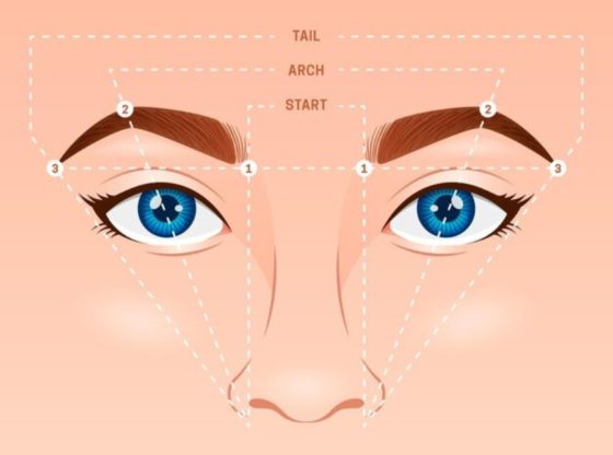 Master The Art Of Eyebrow Mapping: A Step-by-Step Guide For Perfect Brows
